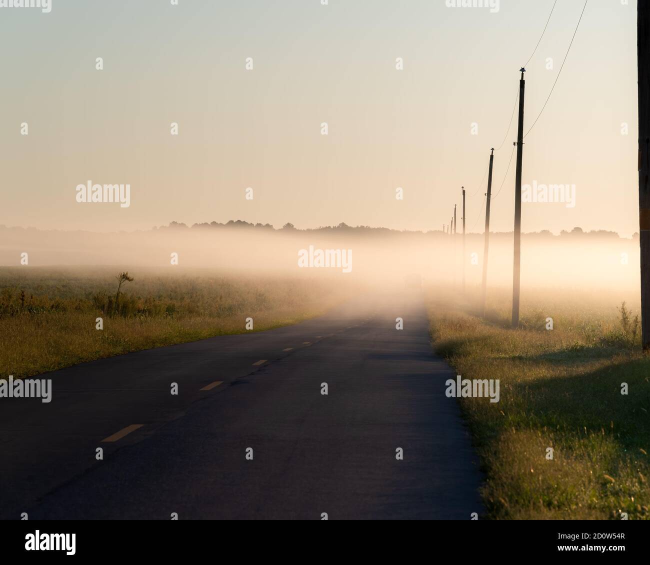 Morning fog over a road Stock Photo - Alamy