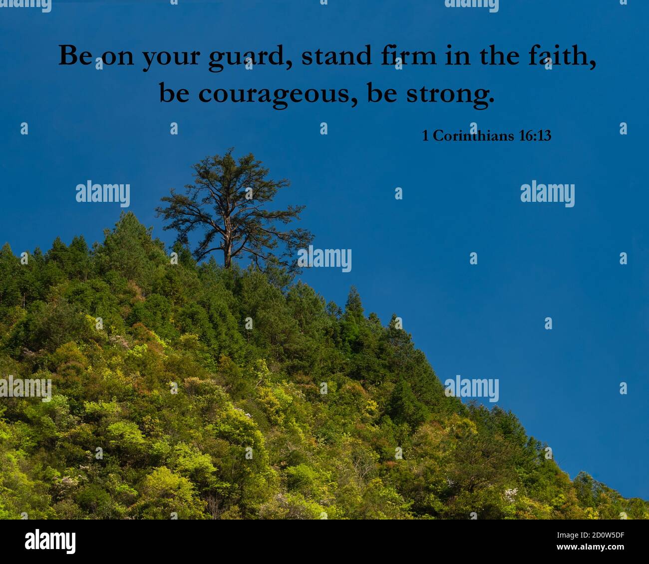 Inspirational with trees Stock Photo - Alamy