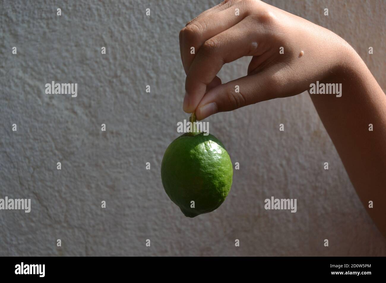 Green lemon in human hand Stock Photo - Alamy