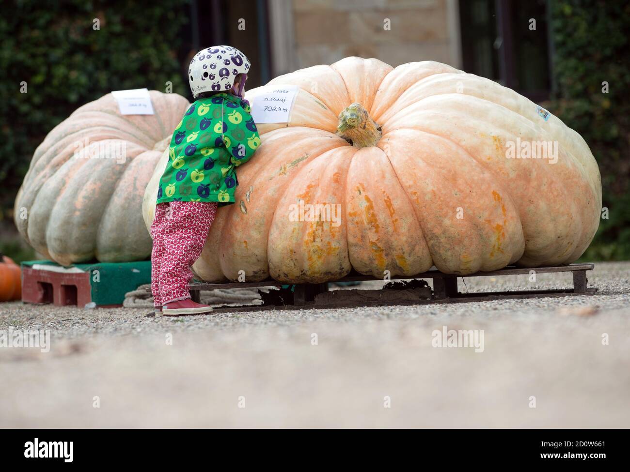 702 kg hi-res stock photography and images - Alamy