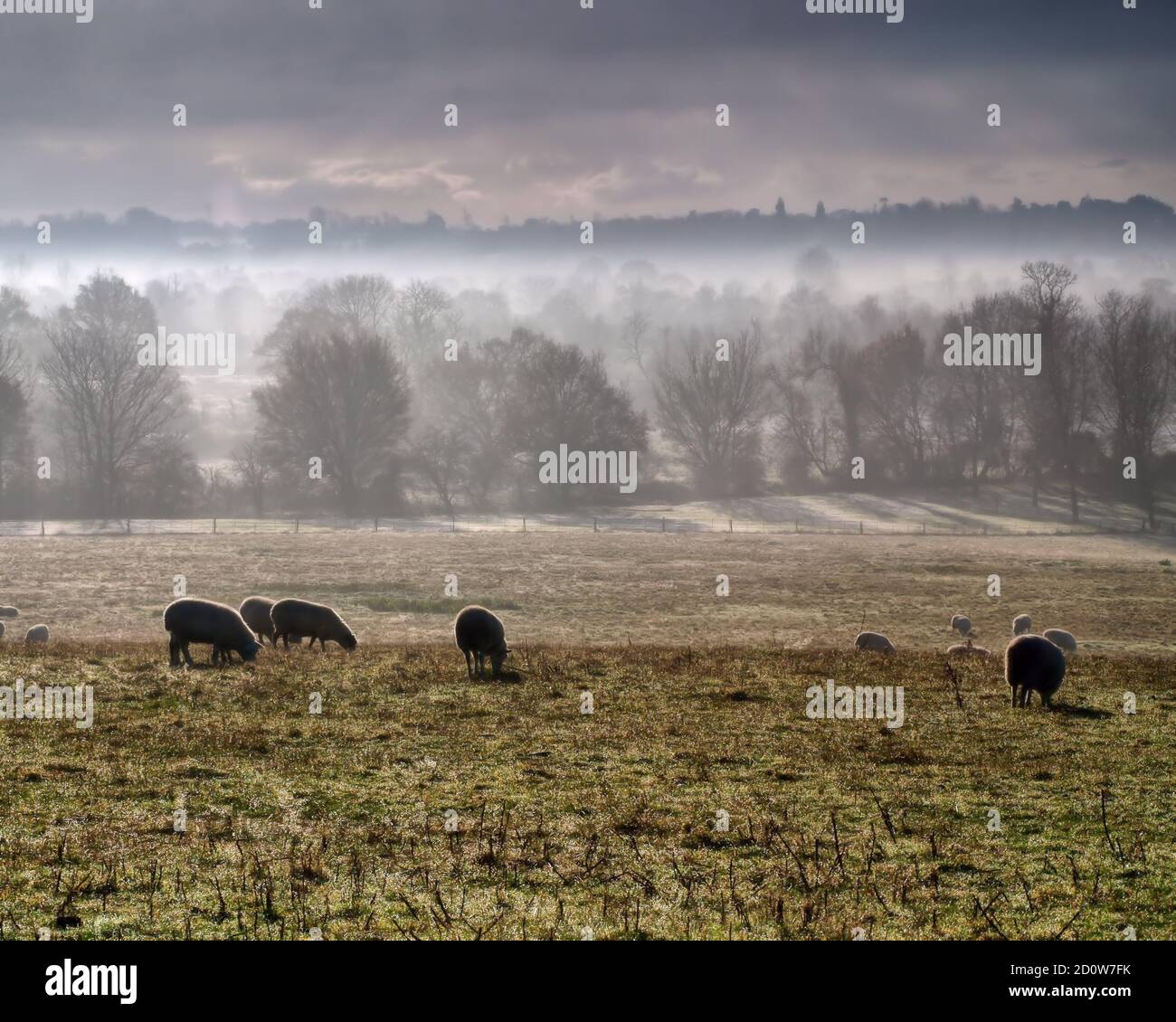 Suffolk england countryside dedham hi-res stock photography and images ...