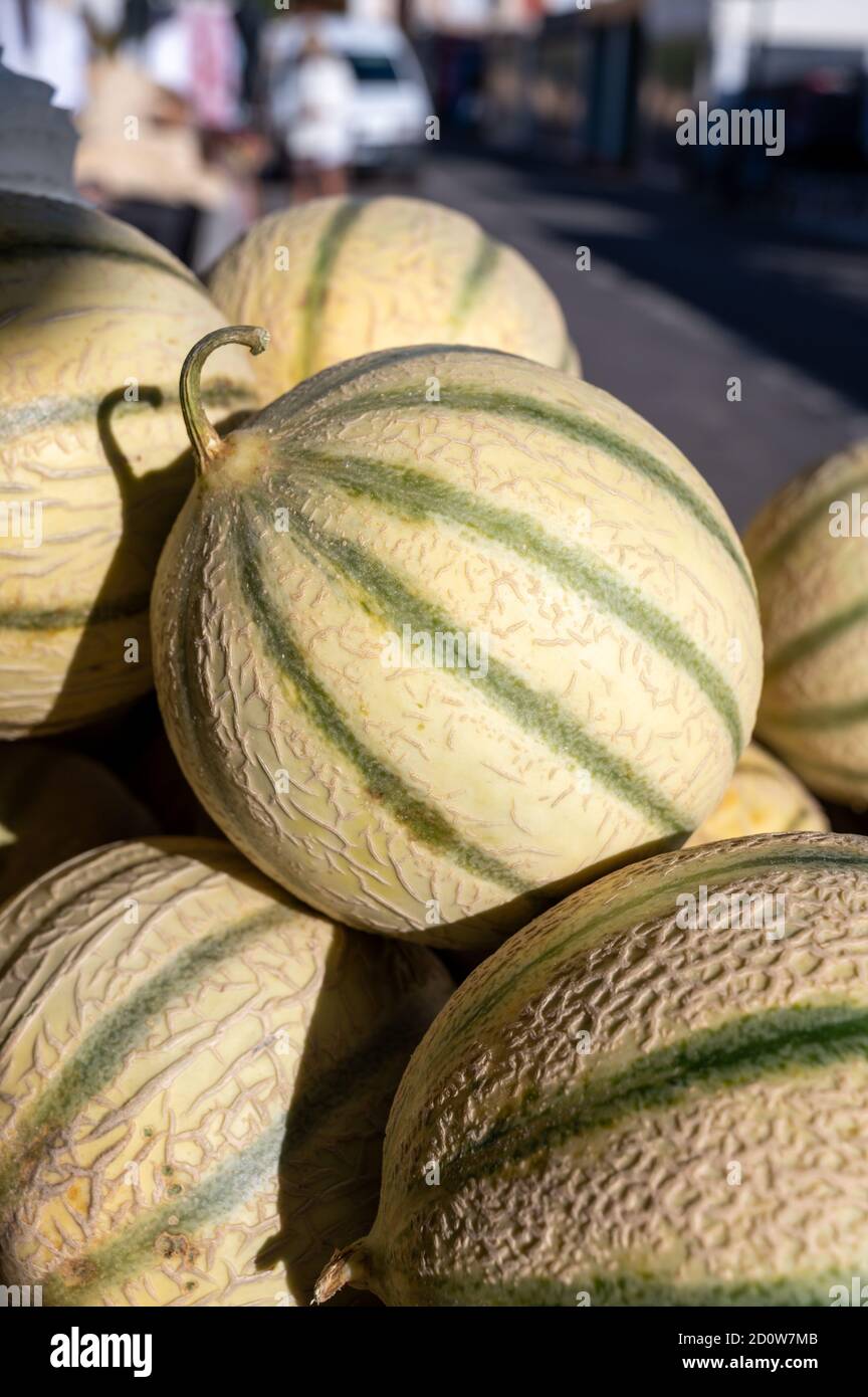 Cavaillon melon hi-res stock photography and images - Alamy