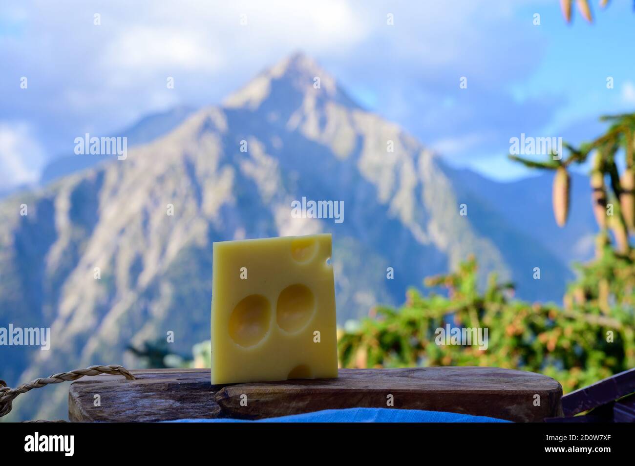 Cheese collection, French emmental de savoie cheese with round holes ...