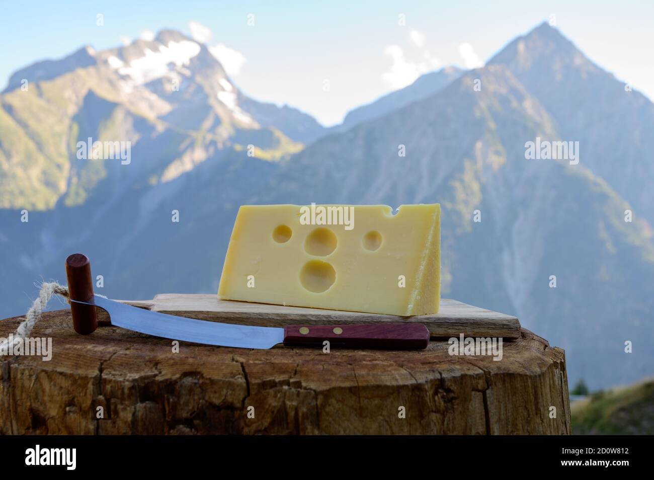 Cheese collection, French emmental de savoie cheese with round holes ...