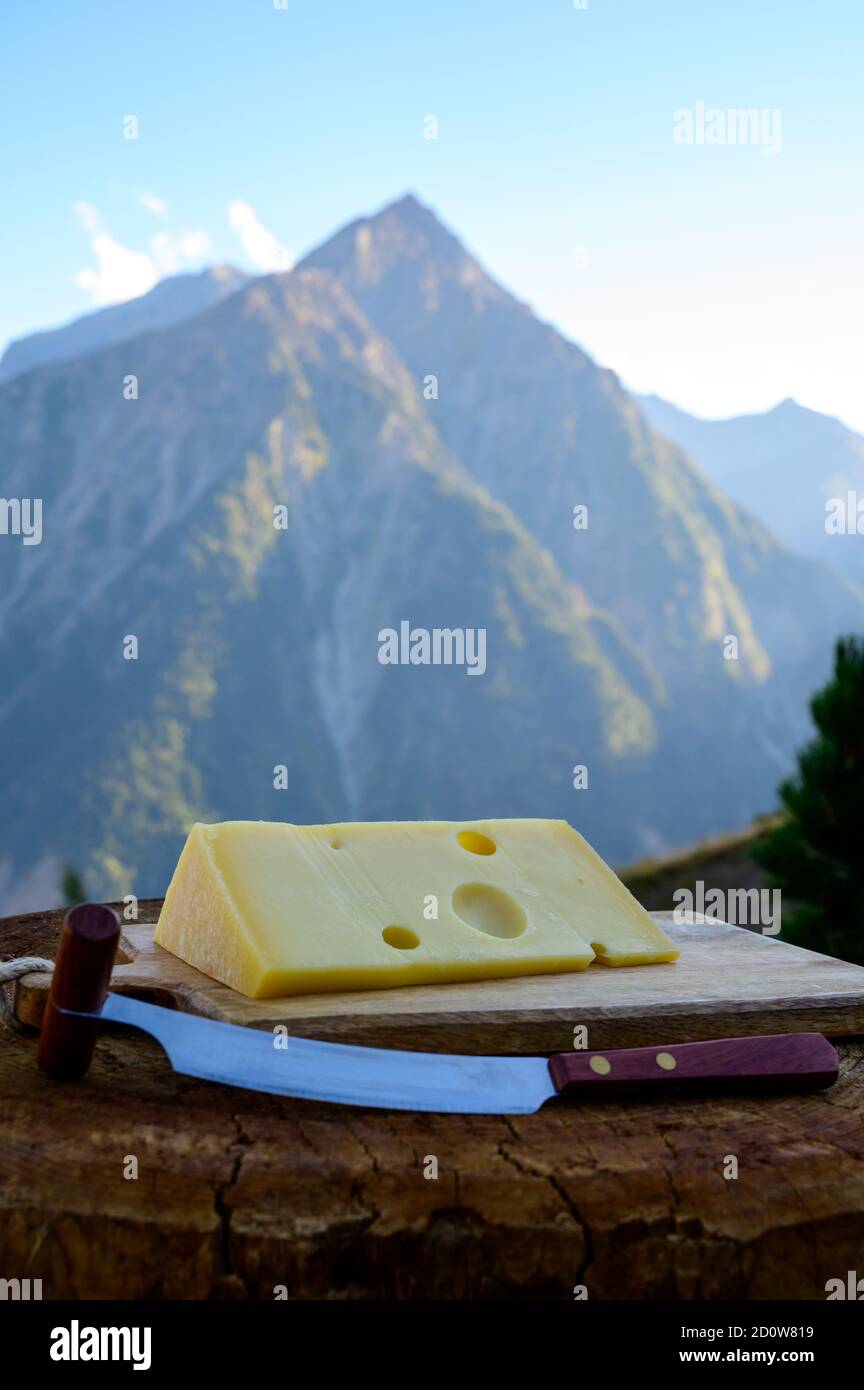 Cheese collection, French emmental de savoie cheese with round holes ...