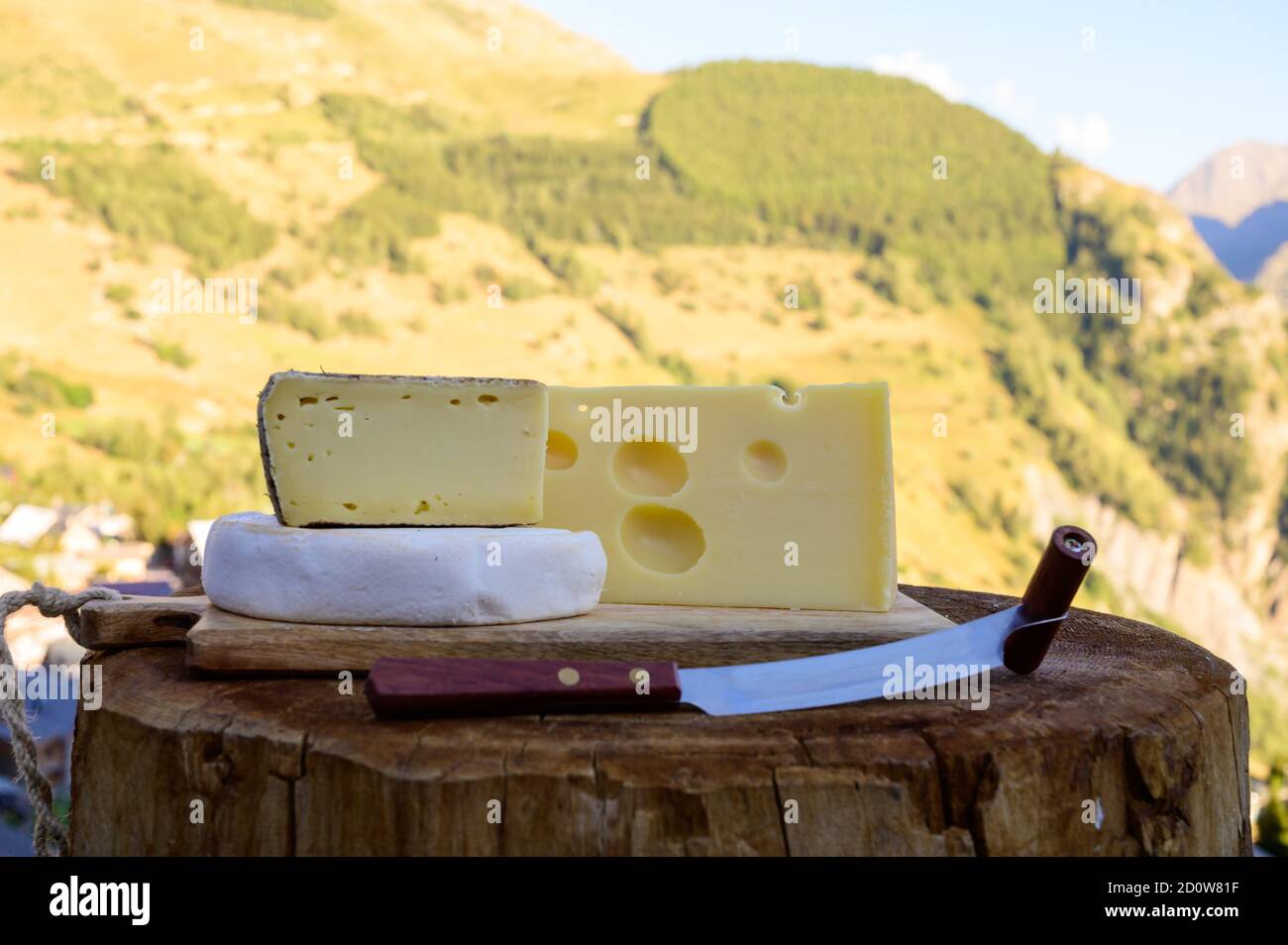 Cheese collection, French emmental, tomme and reblochon de savoie ...