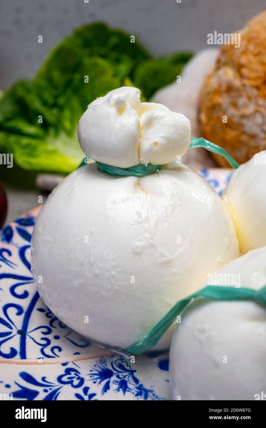 Cheese collection, fresh soft handmade Italian cheese from Puglia ...