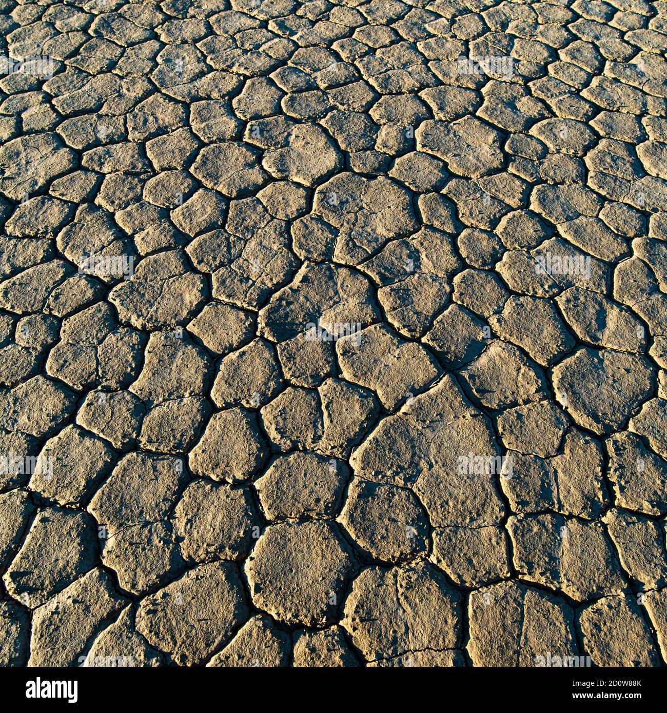 The sailing stones of Racetrack Playa Stock Photo - Alamy
