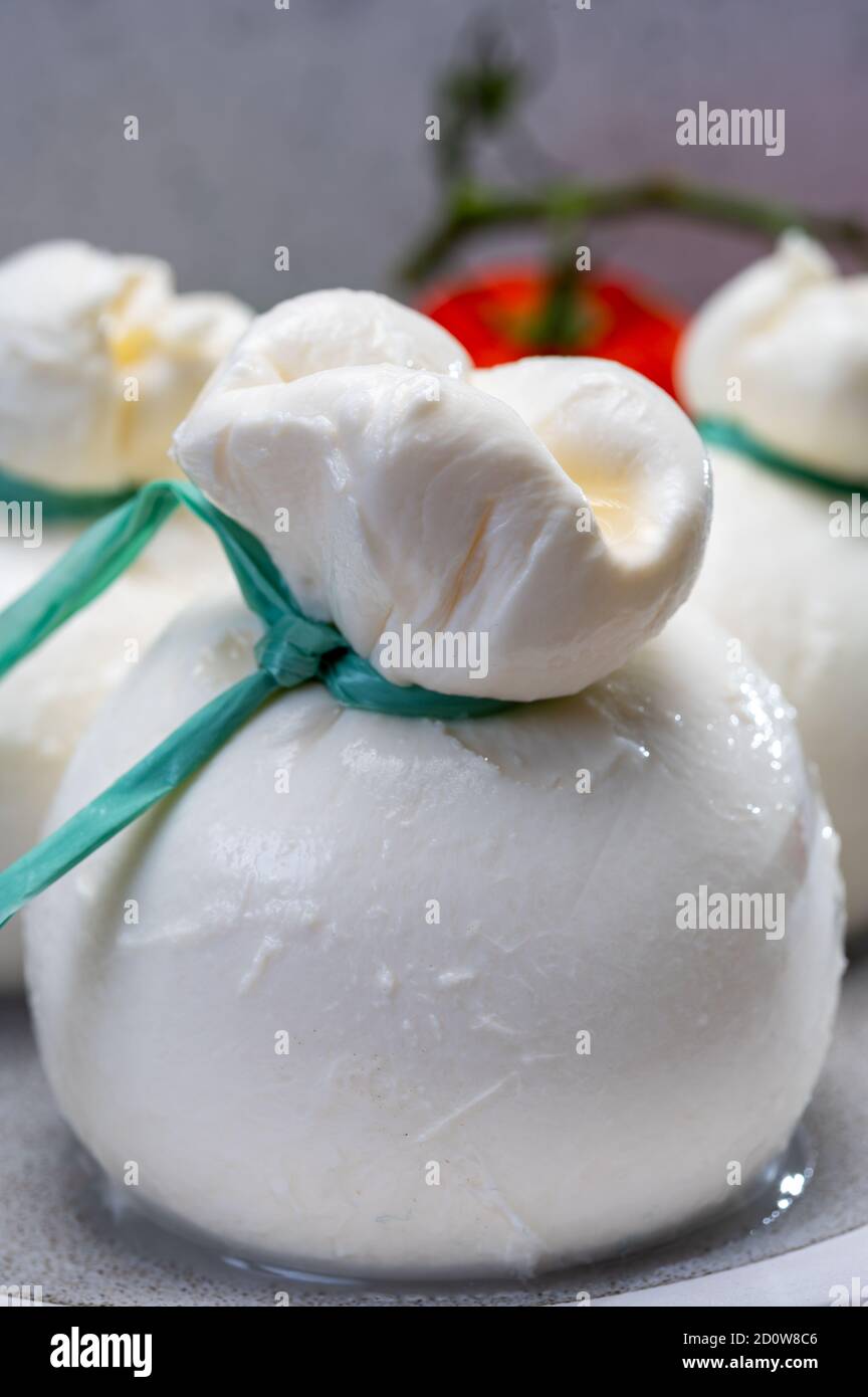 Cheese collection, fresh soft Italian cheese from Puglia, white balls ...
