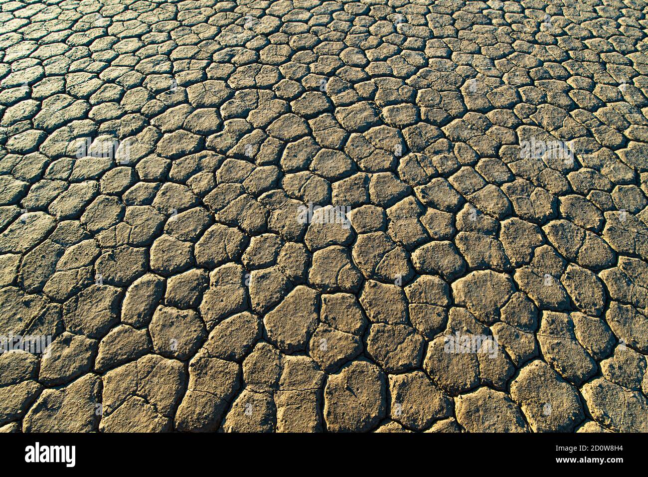 The sailing stones of Racetrack Playa Stock Photo - Alamy