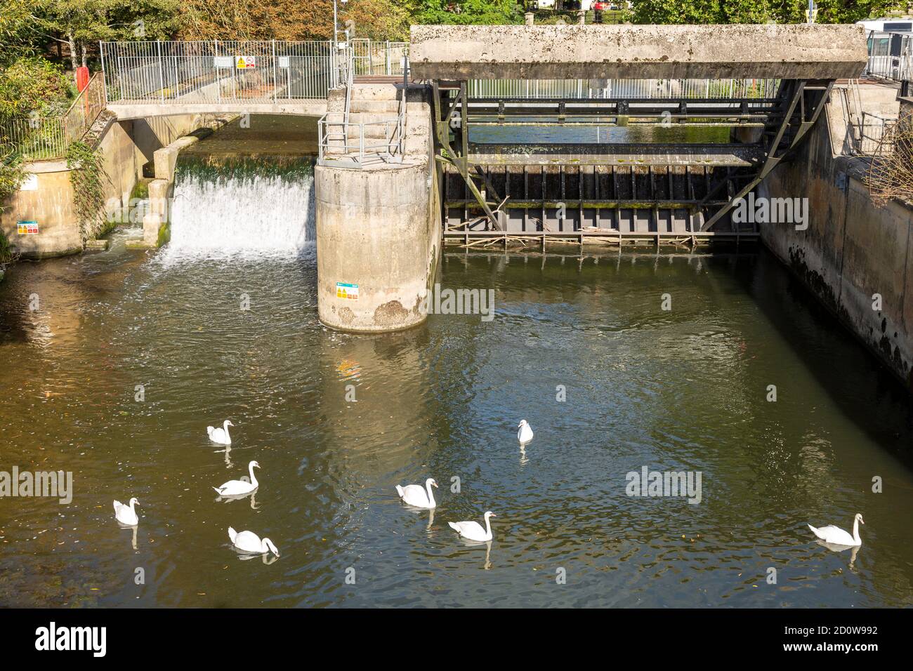 Flood defences to regulate water flow River Avon, Chippenham, Wiltshire ...