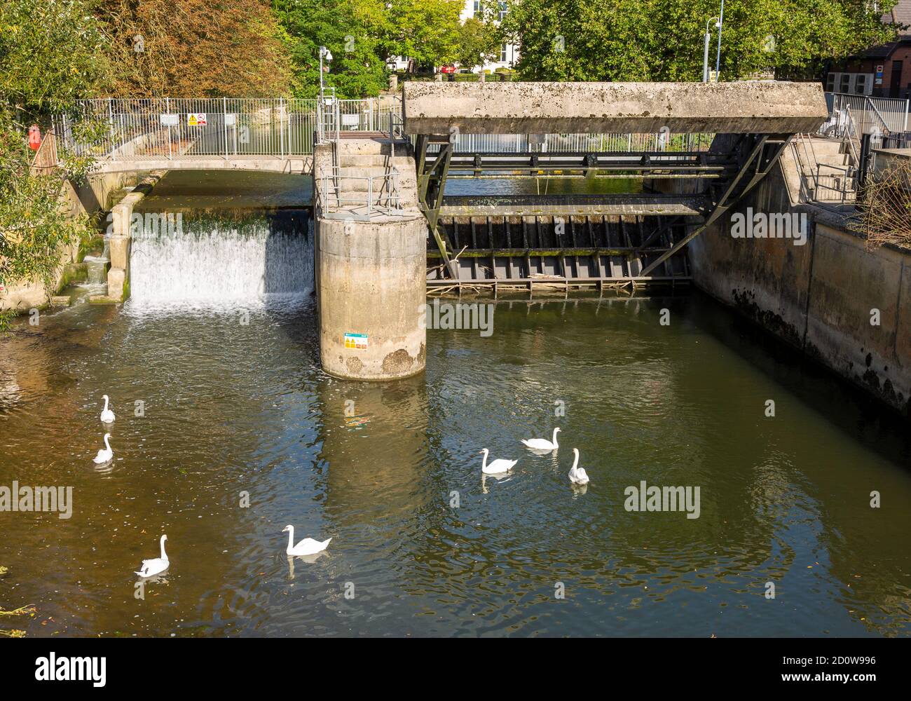 Flood defences to regulate water flow River Avon, Chippenham, Wiltshire ...