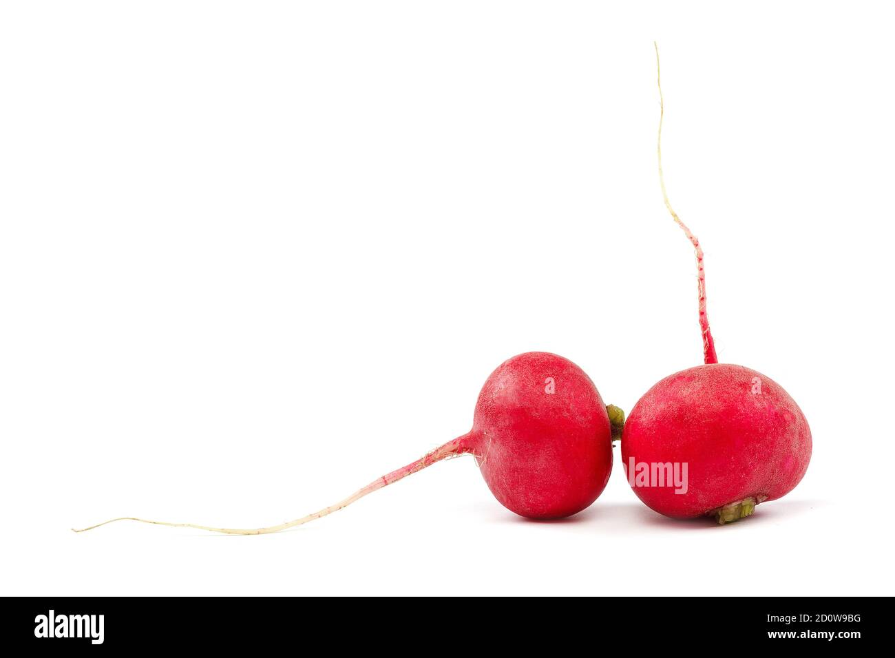 Large pile of radishes hi-res stock photography and images - Alamy