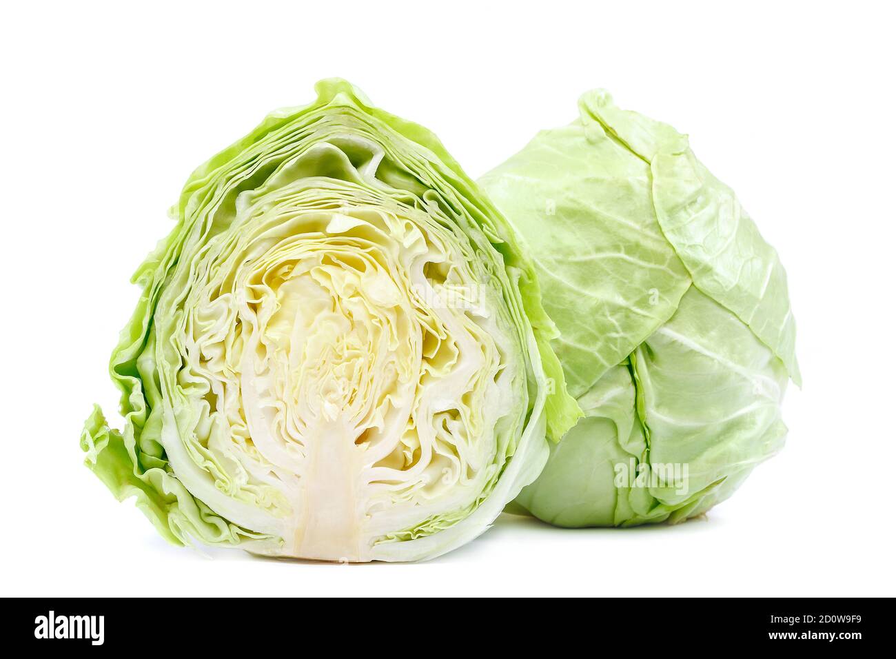 Fresh cabbage head isolated on white background Stock Photo - Alamy