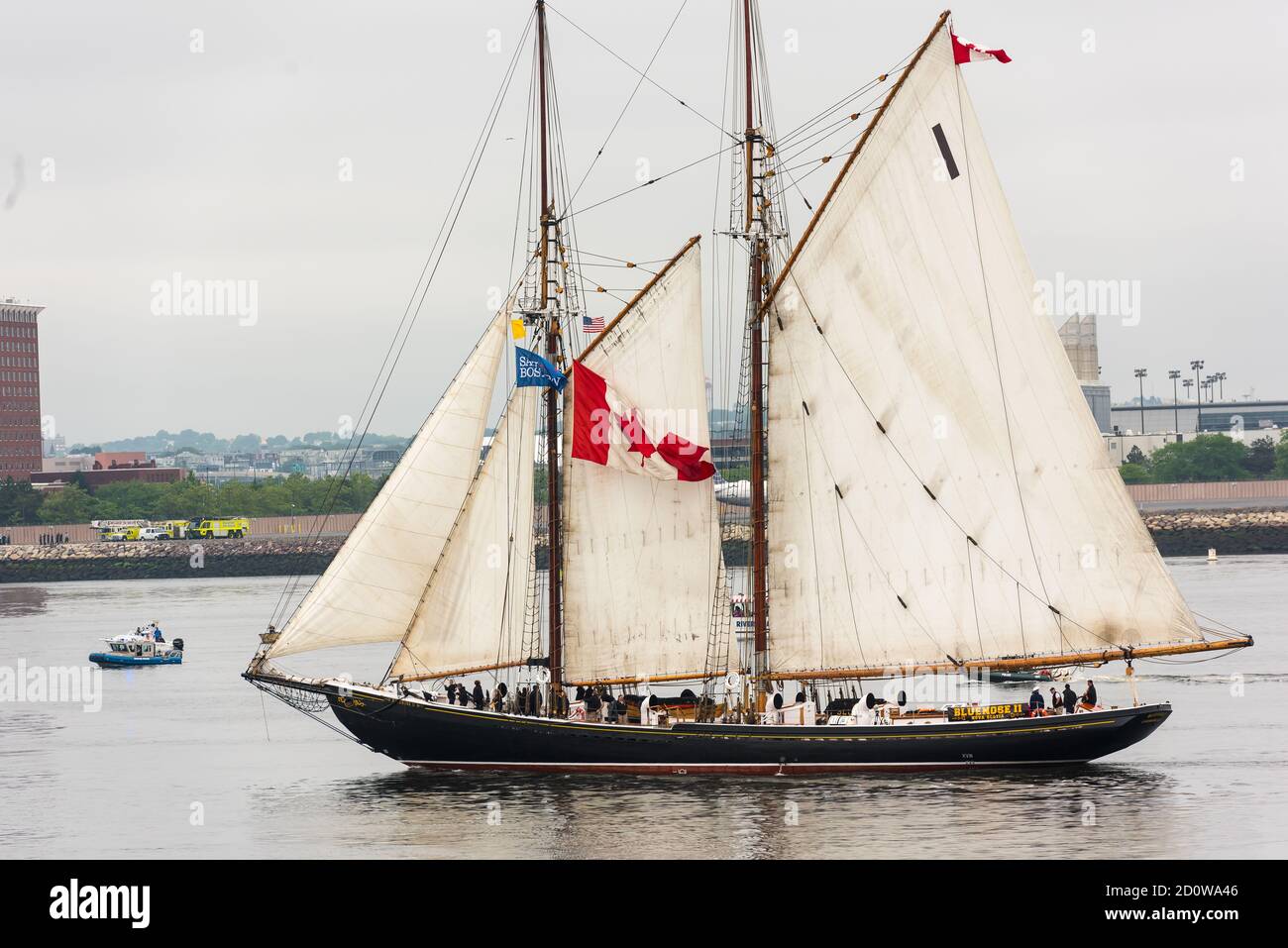 Boston, Massachusetts. 13th June, 2017. Parade of Sail at Sail Boston ...
