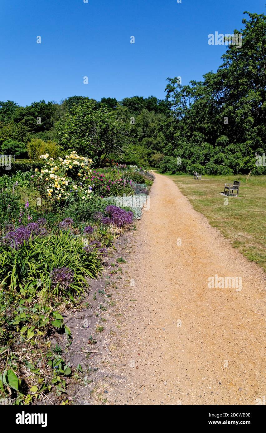 English garden in the summer, England, UK Stock Photo - Alamy