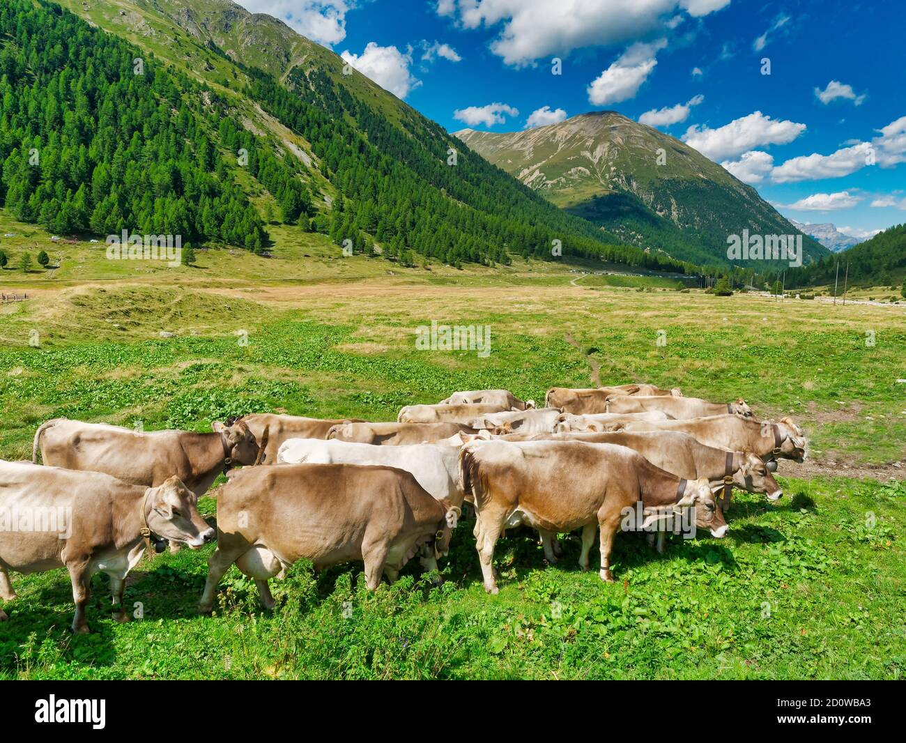 Summer clear day hi-res stock photography and images - Alamy