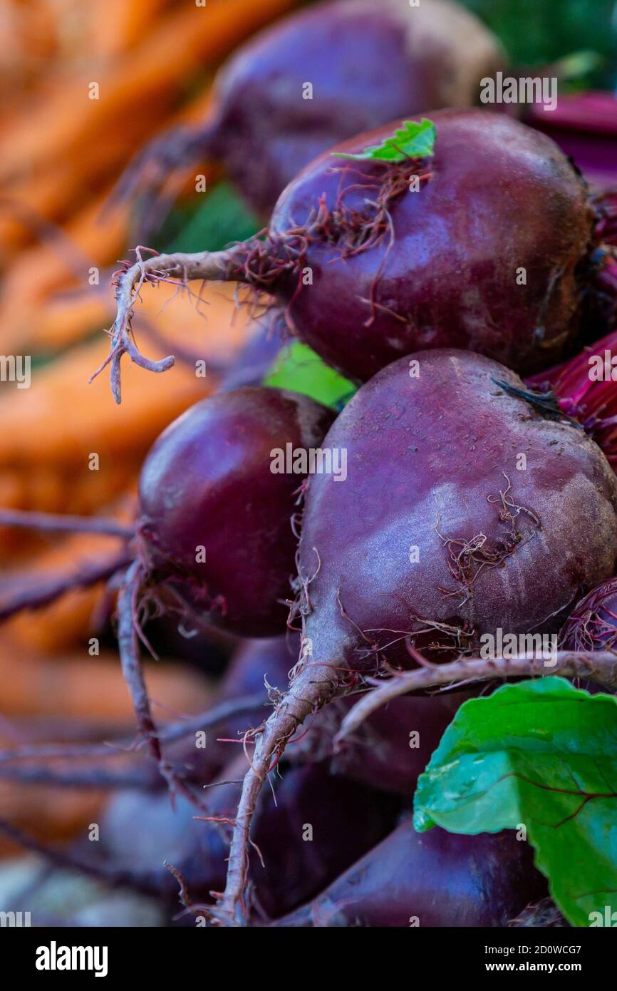 Beetroot for sale on a farmers market stall Stock Photo - Alamy