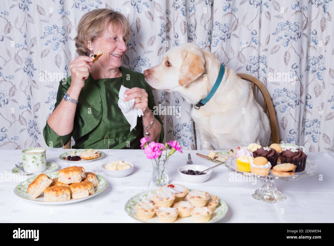 Senior lady and her Golden Labrador sitting together for a traditional ...