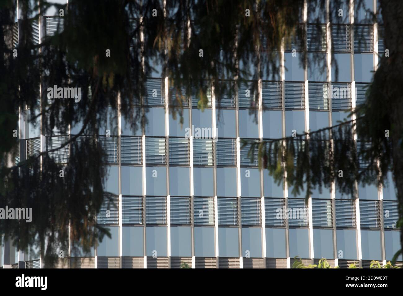 glass facade design of a modern building, architecture and design in ...