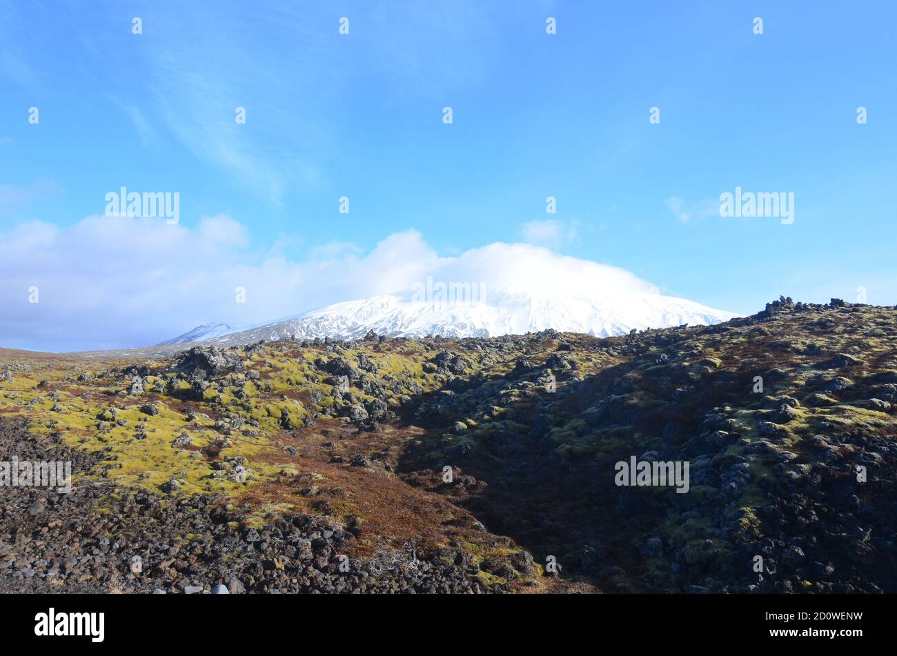Scenic moss covered lava field in front of a mountain Stock Photo - Alamy