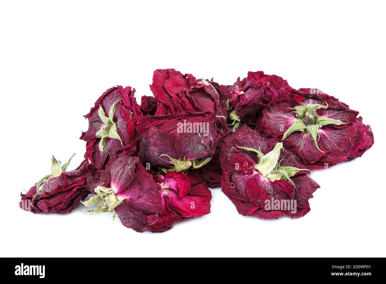 Dog rose flower buds Cut Out Stock Images & Pictures - Alamy