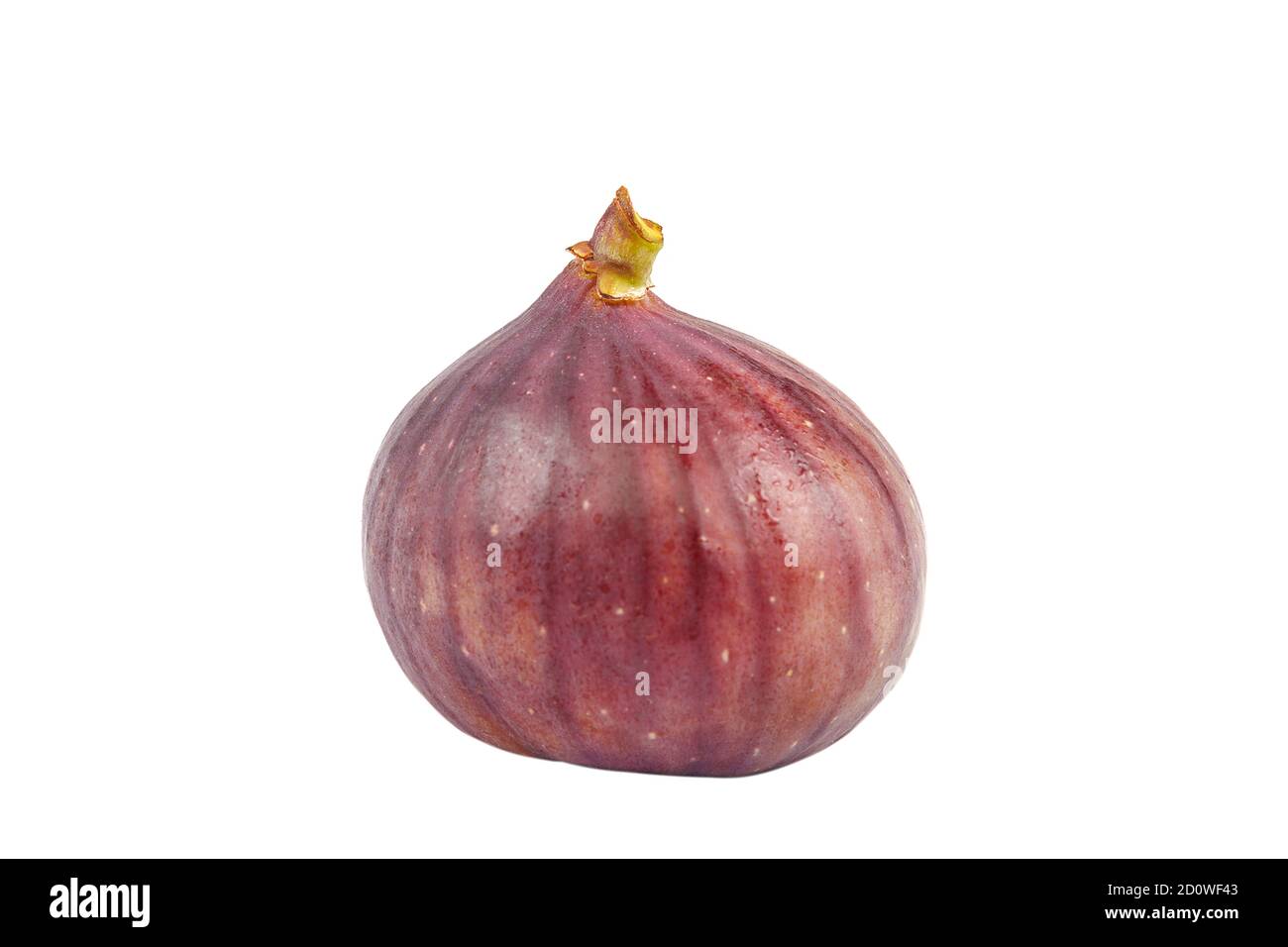 Fresh fig fruits isolated on white background Stock Photo - Alamy