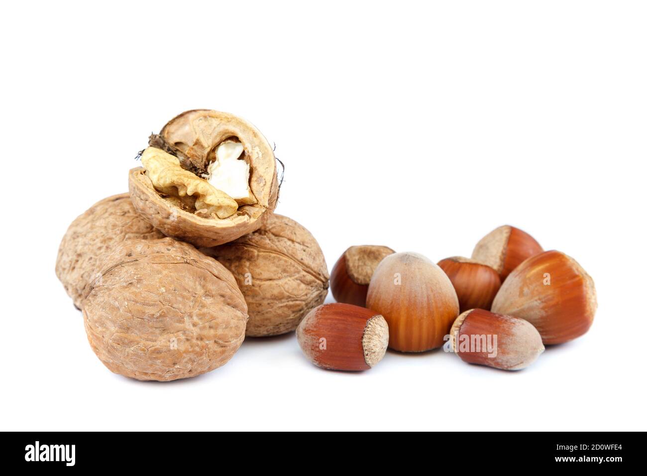 Hazelnuts and walnuts isolated on white background Stock Photo - Alamy