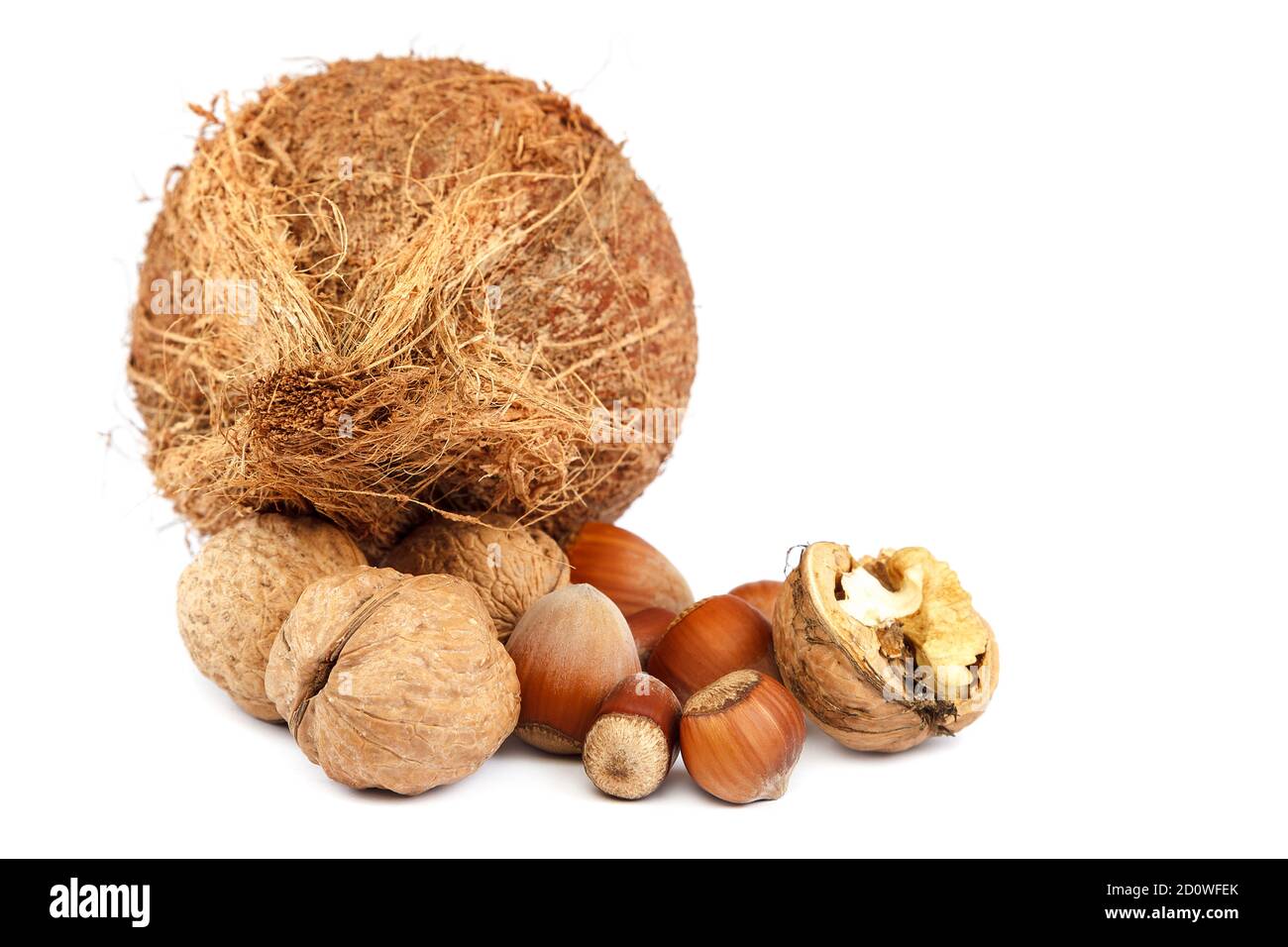 Walnut, hazelnut and coconut isolated on white background Stock Photo ...