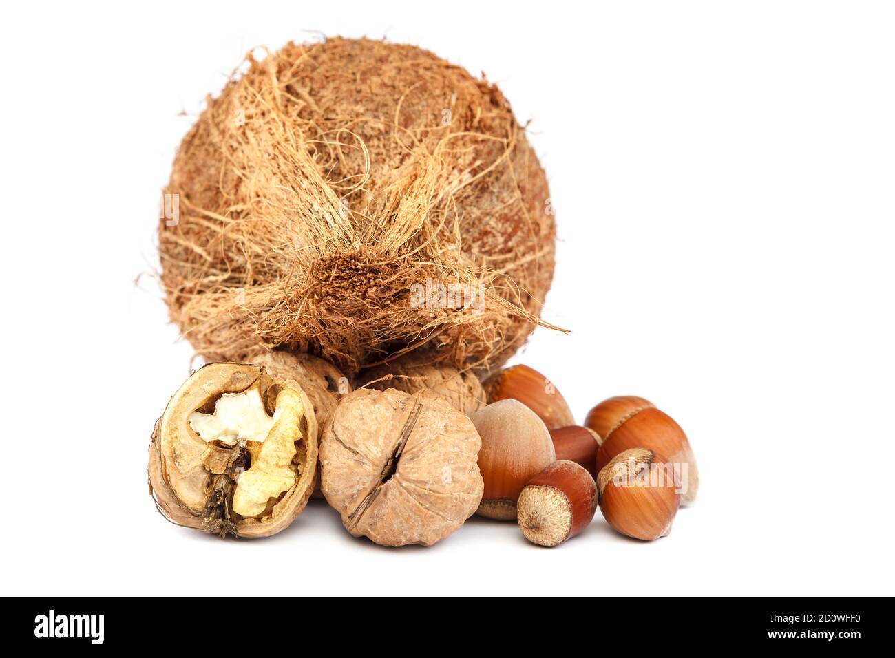 Walnut, hazelnut and coconut isolated on white background Stock Photo ...
