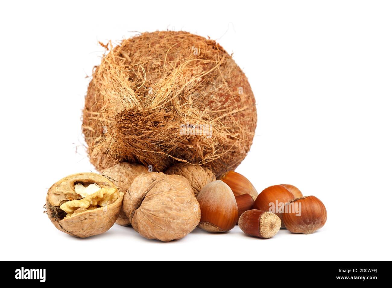 Walnut, hazelnut and coconut isolated on white background Stock Photo ...