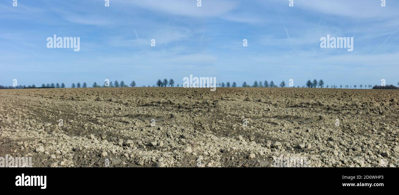 Wide landscape with sandy field and trees on the horizon. Blue sky with ...