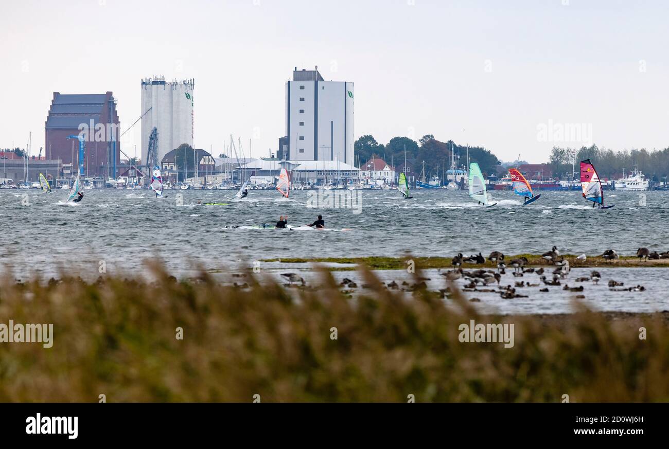 Wulfen, Germany. 03rd Oct, 2020. Windsurfers glide on the water at ...