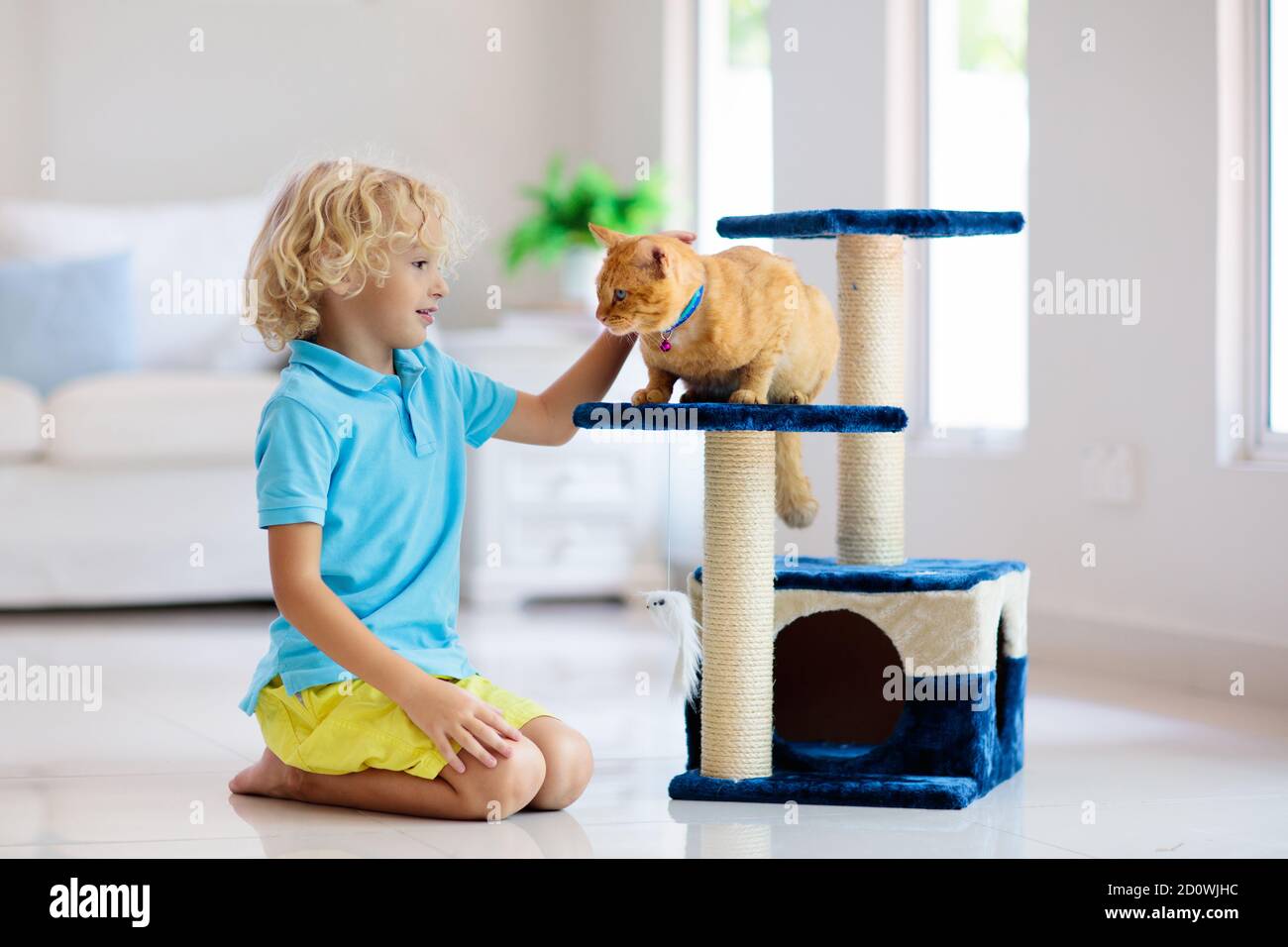 Child playing with cat at home. Kids and pets. Little boy feeding and ...