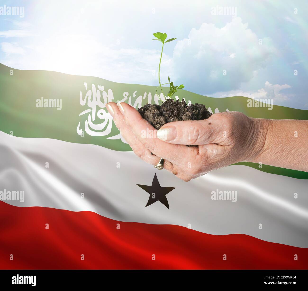 Somaliland growth and new beginning. Green renewable energy and ecology ...