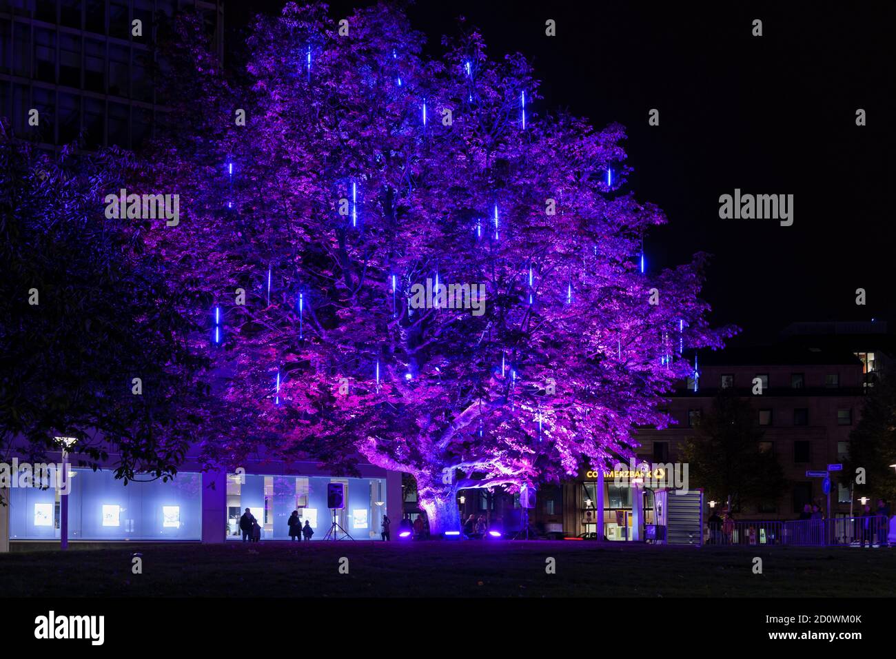 Night scenery of outdoor illuminated led lighting installation art on ...