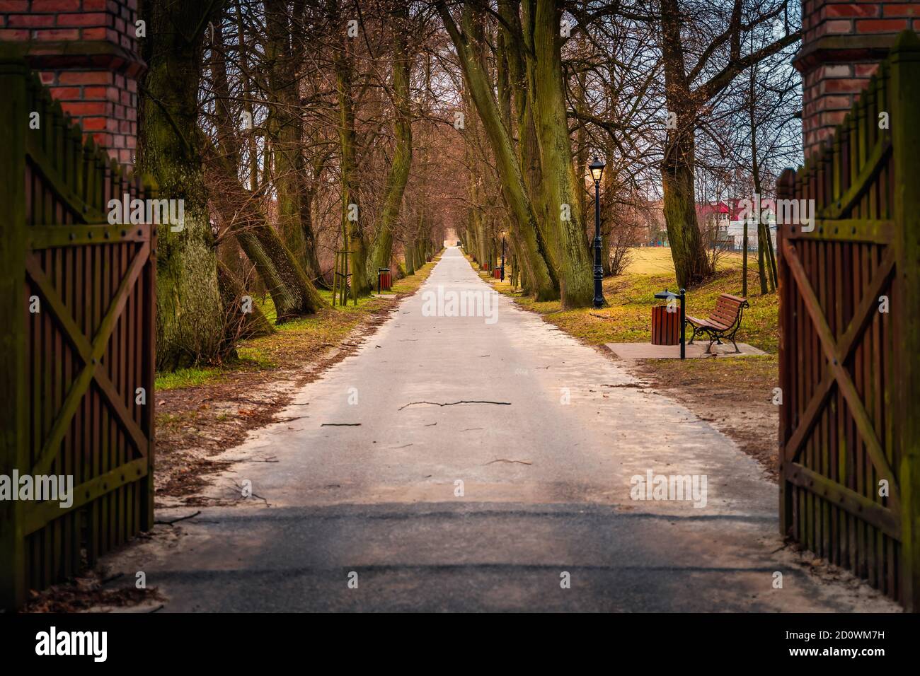 Open wooden gate on oak and lime tree alley with vintage lit street ...
