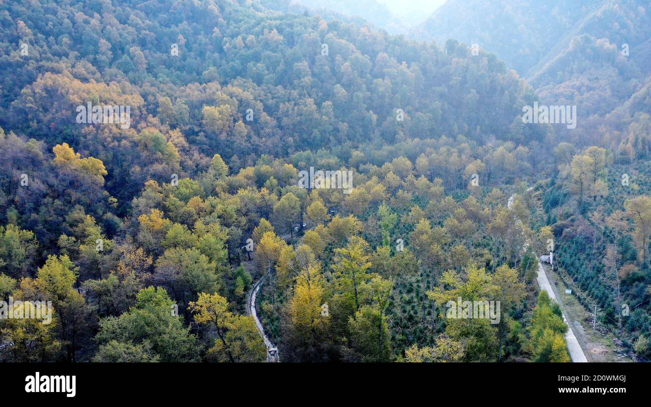 Haidong. 3rd Oct, 2020. Photo taken on Oct. 3, 2020 shows the autumn ...