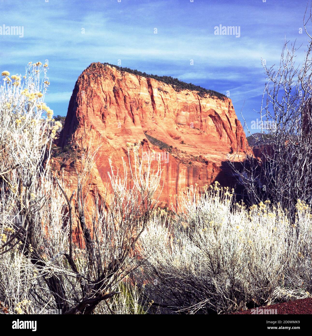 Striking Image of Nagunt Mesa along the Kolub Canyon Road in Zion ...