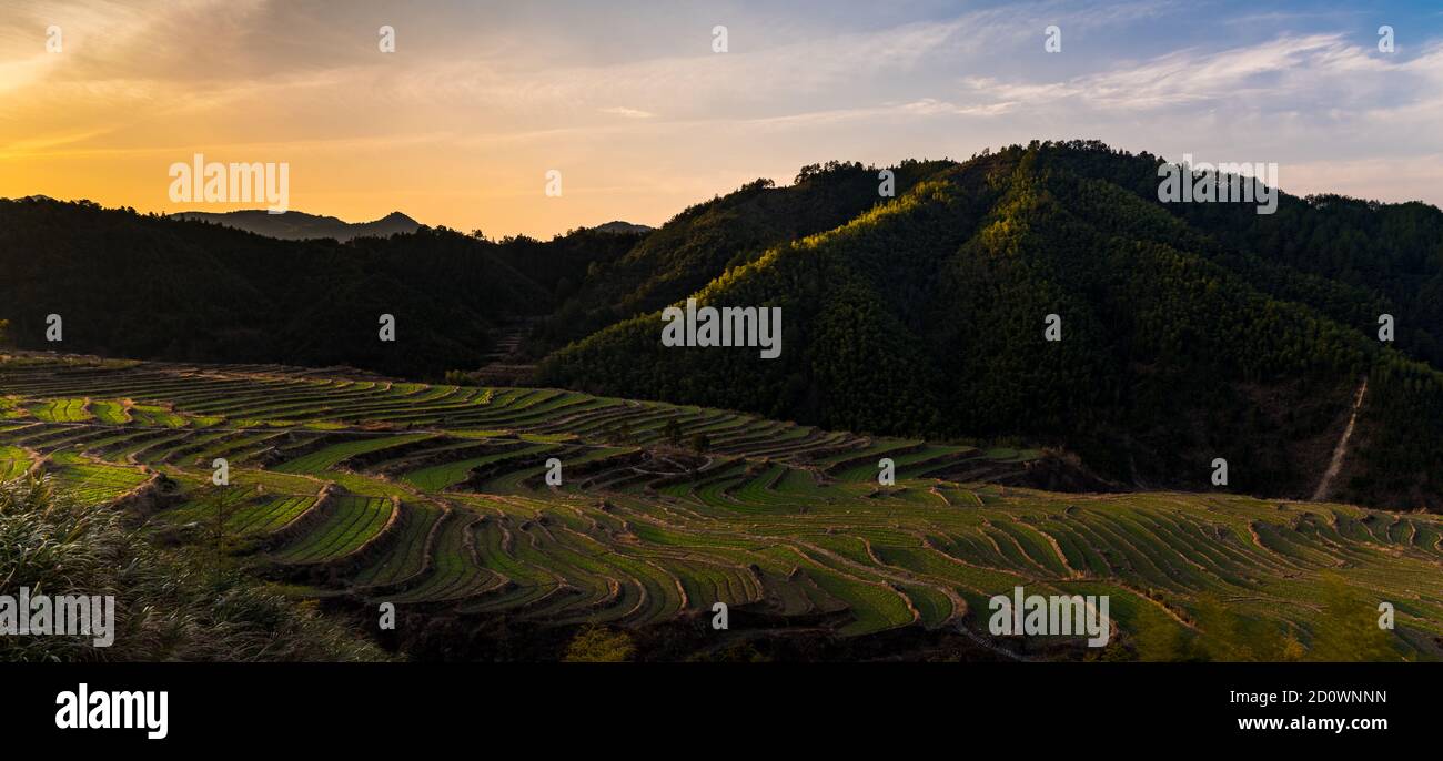 Asian Farms High Resolution Stock Photography and Images - Alamy