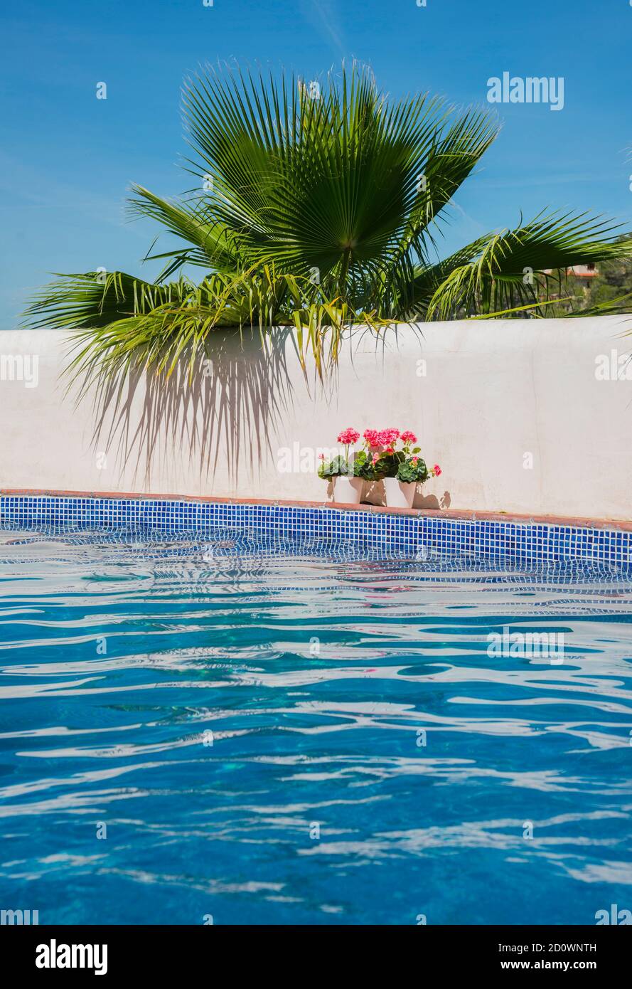 Blue water in swimming pool Stock Photo - Alamy