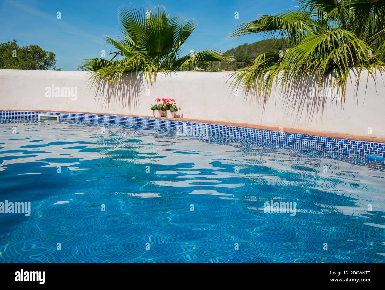 Blue water in swimming pool Stock Photo - Alamy