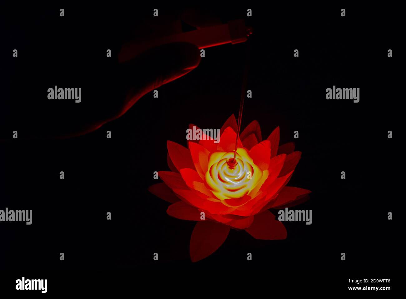 Fire flower hi-res stock photography and images - Alamy