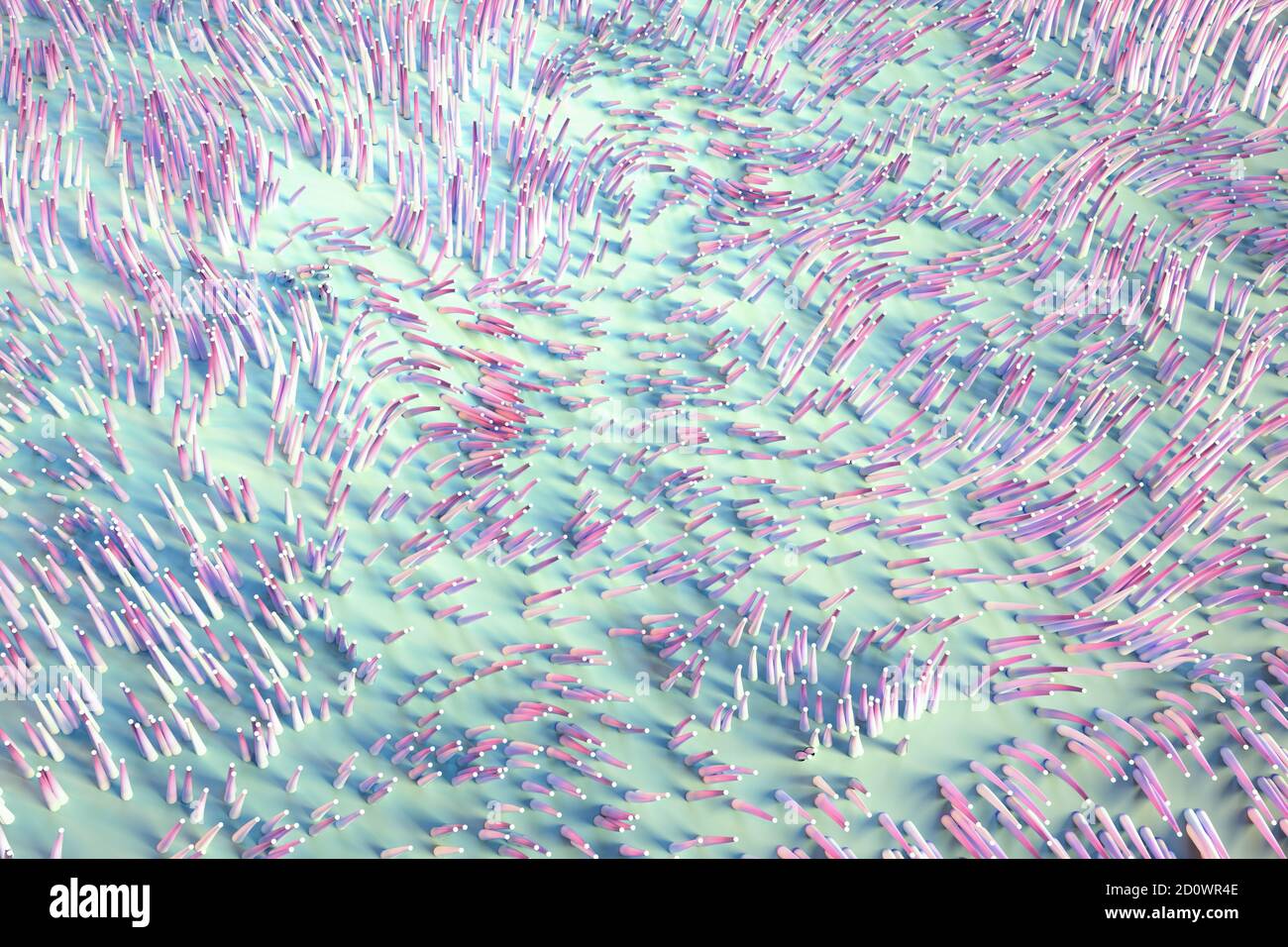 Growing wavy particles, abstract color background, 3d rendering ...