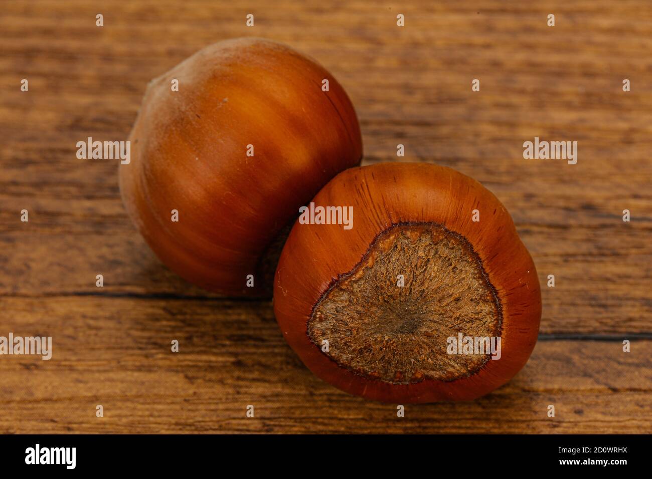 Two ripe tasty Whole hazelnut (hazel Stock Photo - Alamy