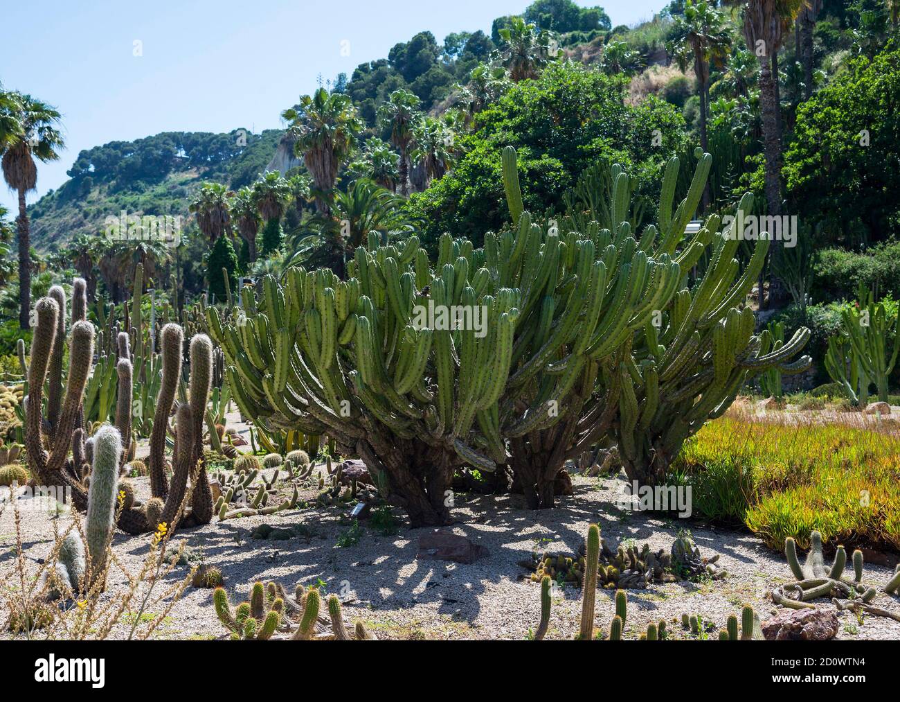 Mossen costa hi-res stock photography and images - Alamy