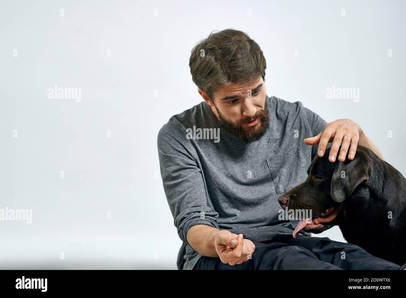 happy owner with pet black dog training model emotions Stock Photo - Alamy