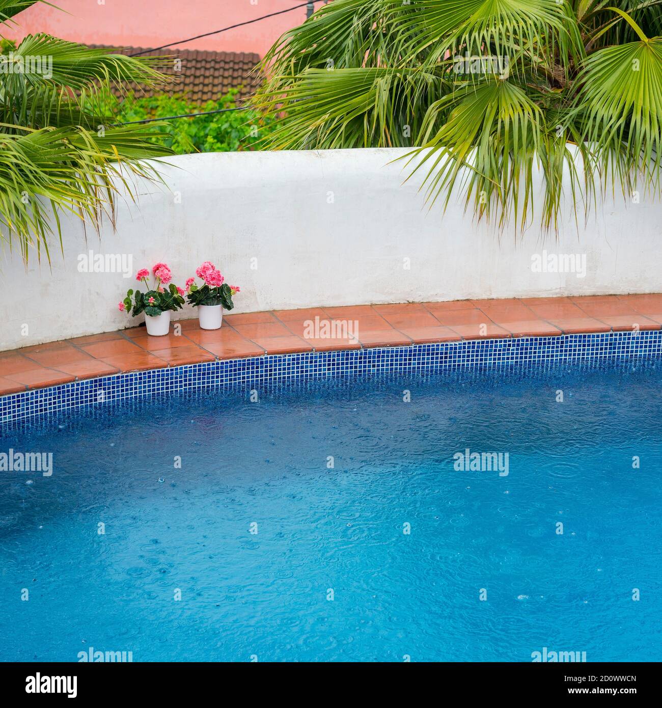 Blue water in swimming pool Stock Photo - Alamy