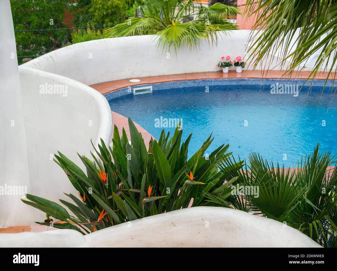 Outdoor swimming pool in the rain Stock Photo - Alamy
