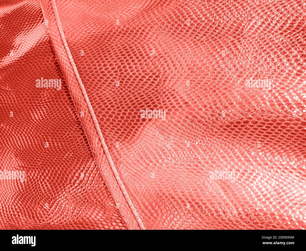 Trend photography on the theme of the color of the year 2019 - Living ...